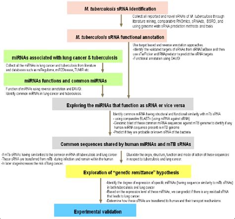 The Integrated Bioinformatics And Experimental Validation Strategy To