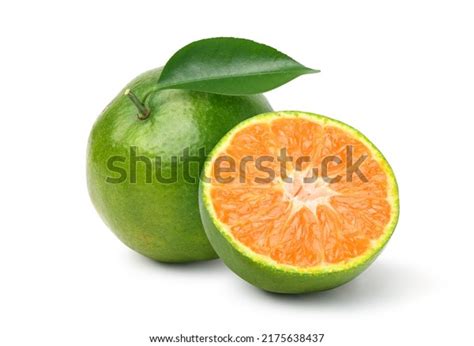Orange Or Tangerine Green Images Stock Photos Vectors Shutterstock