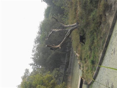 Rituraj Sinha Rituraj Sinha Sis