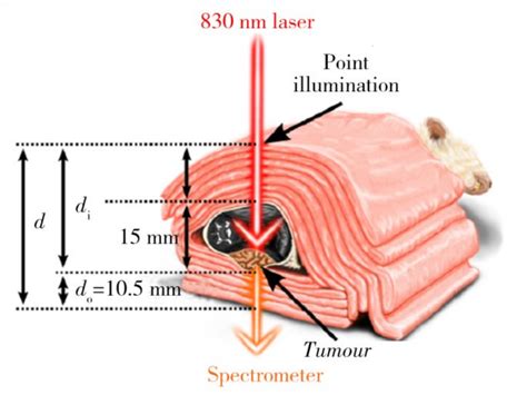 Sjtu Ye Lab Publications