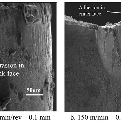 SEM Image Of Cutting Tool Edge Download Scientific Diagram