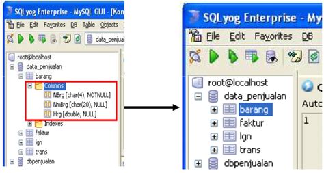 Implementasi Basis Data Menggunakan Sqlyog Mysql Gui ~ Information