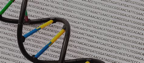 Fast And Cost Effective Whole Genome Analysis Excelra