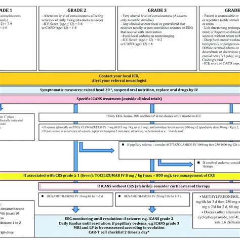 Checklist And Pre Medication Before Chimeric Antigen Receptor T Cell