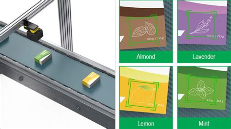 multiple classification outputs sp automation and robotics