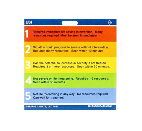 Esi Triage Badge For Er Nurses Etsy