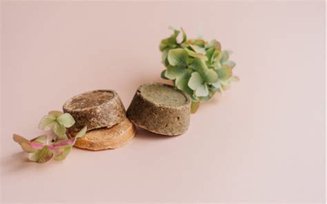 How To Make Natural Shampoo Step By Step Guide