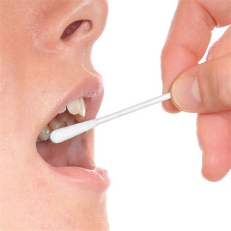 How To Collect A Buccal Swab For Forensic Analysis Medico