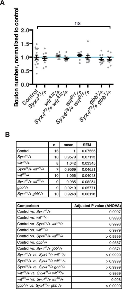 Figures And Data In The Postsynaptic T Snare Syntaxin 4 Controls Traffic Of Neuroligin 1 And