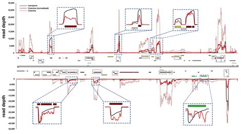 New Adventures In Viral Rna Sequencing Using Nanopore Arrays Research
