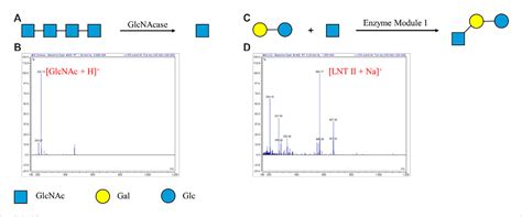 Figure 1 From Digital Microfluidics Engaged Automated Enzymatic Degradation And Synthesis Of