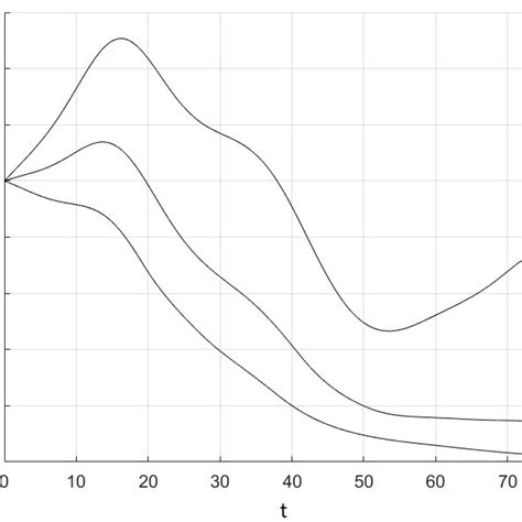 solution paths of wealth for different asset returns the upper graph