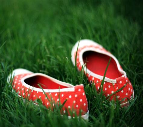 잔디에 신발 배경화면 Phoneky에서 모바일로 다운로드