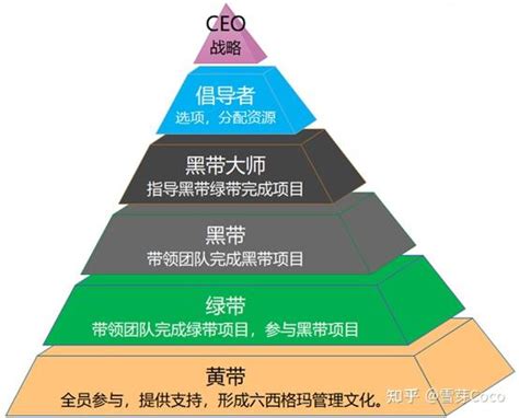六西格玛 DMAIC IDDOV研讨会 知乎