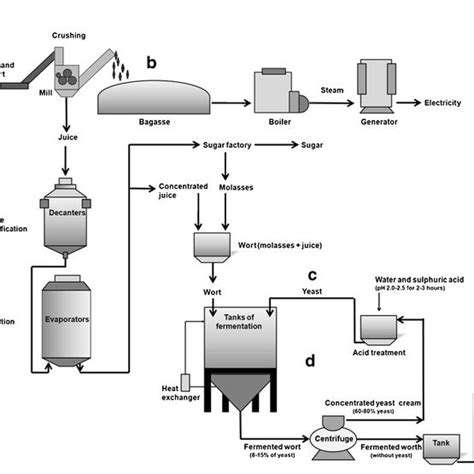 Simplified Illustration Showing Bioethanol Production And The Main Download Scientific Diagram