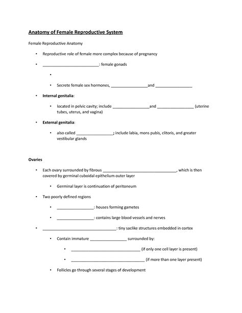 Anatomy Of Female Reproductive System Studocu