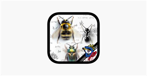 ‎insect Race On The App Store