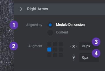 Navigation Arrows Slider Revolution