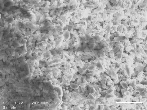 Sem Micrograph Of Sm Iii Complex C5 [sm Pfa 3 Phen ] Download Scientific Diagram