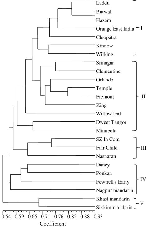 Upgma Dendrogram Of 25 Cultivars Of C Reticulata Generated Based On