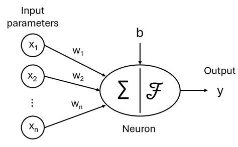 Scheme Of A Single Neuron With Multiple Weighted Input Download