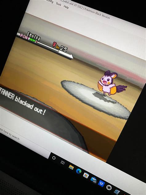 Pok Mon Black Nuzlocke Wiped To Elisa Because I Underestimated How Fast And Hard Hitting