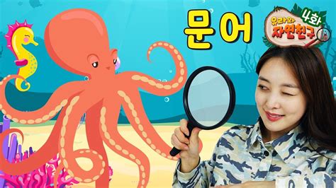 유라와 자연친구 04화 먹물 무기를 가진 문어ㅣ바다생물 자연 관찰 학습 Youtube