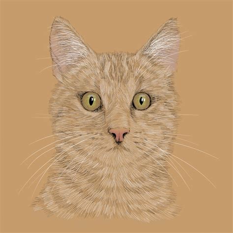 Premium Vector The Head Of A Cat With A Mustache Pencil Hand Drawing Sketch Isolated On A