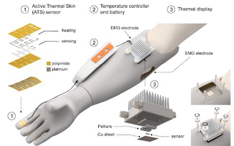 Hands On Solutions Applying Prosthetic Sensory Technology In