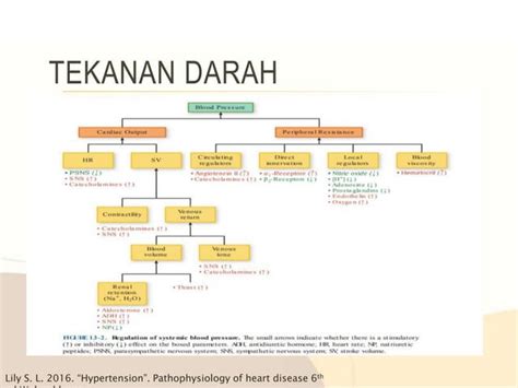 TATALAKSANA HIPERTENSI PADA PASIEN STROKE Pptx Heart And Cardiovascular Diseases Diseases
