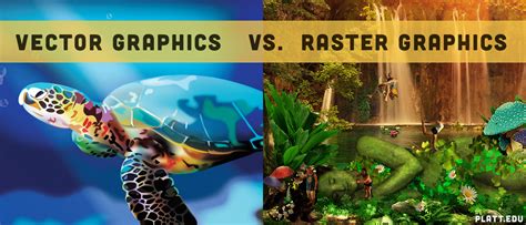 The Difference Between Vector Graphics And Raster Graphics Platt