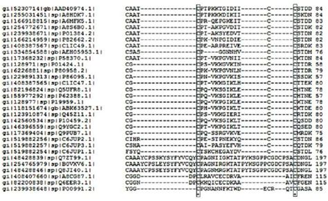 Multiple Sequence Alignment By Clustalw2 Download Scientific Diagram