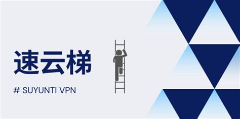 2025稳定便宜的机场推荐丨靠谱好用的梯子推荐 · Issue 864 · Haishanhyacd · Github