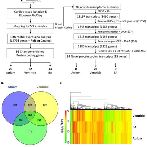 Data Workflow And Analysis Summary An Overview Of Experimental And Download Scientific Diagram
