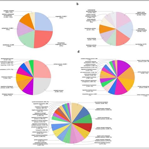 Gene Ontology Sequence Annotation Functional Classification Of All Download Scientific Diagram