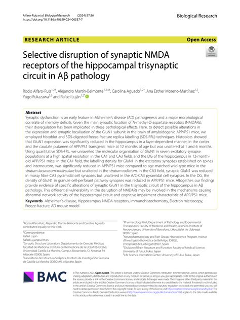 Pdf Selective Disruption Of Synaptic Nmda Receptors Of The Hippocampal Trisynaptic Circuit In