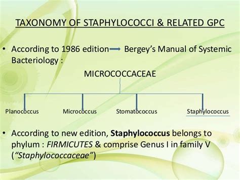 Staphylococcus