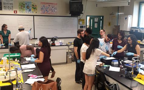 Flying With Swallows Project And Event Photos