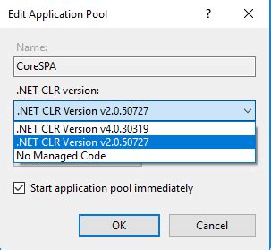 Single Page Application Using ASP NET Core Angular