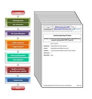 Protocols And SOPs Compare Europe