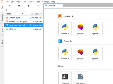 Starting Jupyterlab App Visual Interactive Computing