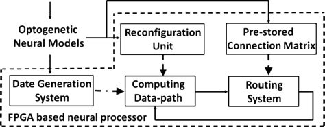A Conceptual Architecture Of An FPGA Based Neural Processor It Download Scientific Diagram