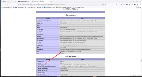 Ctfshow Web入门 信息搜集 Csdn博客