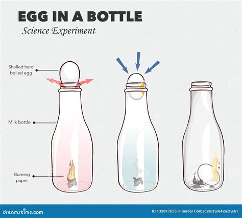 egg in a bottle science experiment vector illustration stock vector