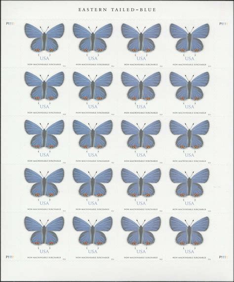 Us 5136 Eastern Tailed Blue Butterfly Nms Sheet 20 Stamps Mnh 2016 United States General