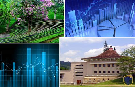 statistics and operations research sinhala alpanthiya lk