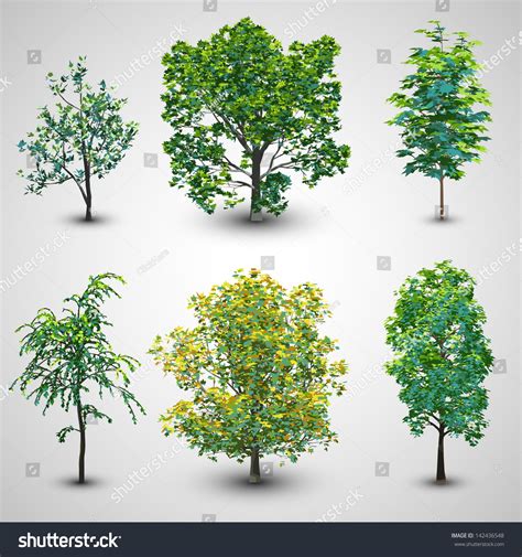 Realistic Tree Set Sunlight Set 2 Stock Vector Royalty Free 142436548 Shutterstock