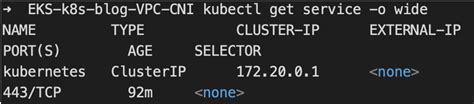 Optimize IP Addresses Usage By Pods In Your Amazon EKS Cluster Containers