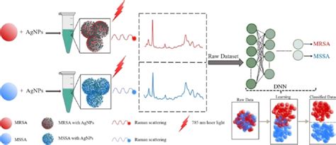 General Workflow Of Deep Learning Based Spectral Data Analysis For The Download Scientific