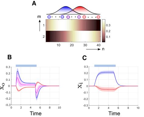 A Combinatorial Encoding Is Represented Through The Weights Of Matrix
